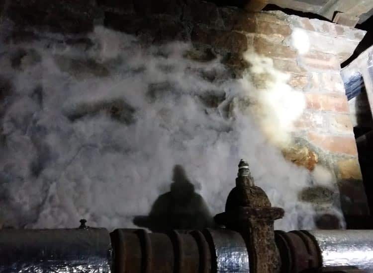 Wet Rot FAQ | Wet Rot Signs And Rot Treatment Explained | FAQ / Q&A