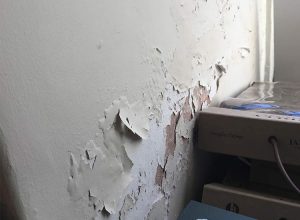 Signs of Rising Damp Explained - Damp Specialists - Richardson & Starling