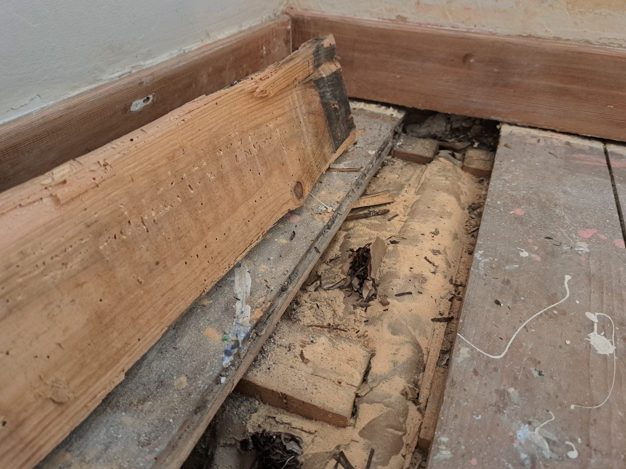 Woodworm Treatment in Aberdeen - Richardson & Starling